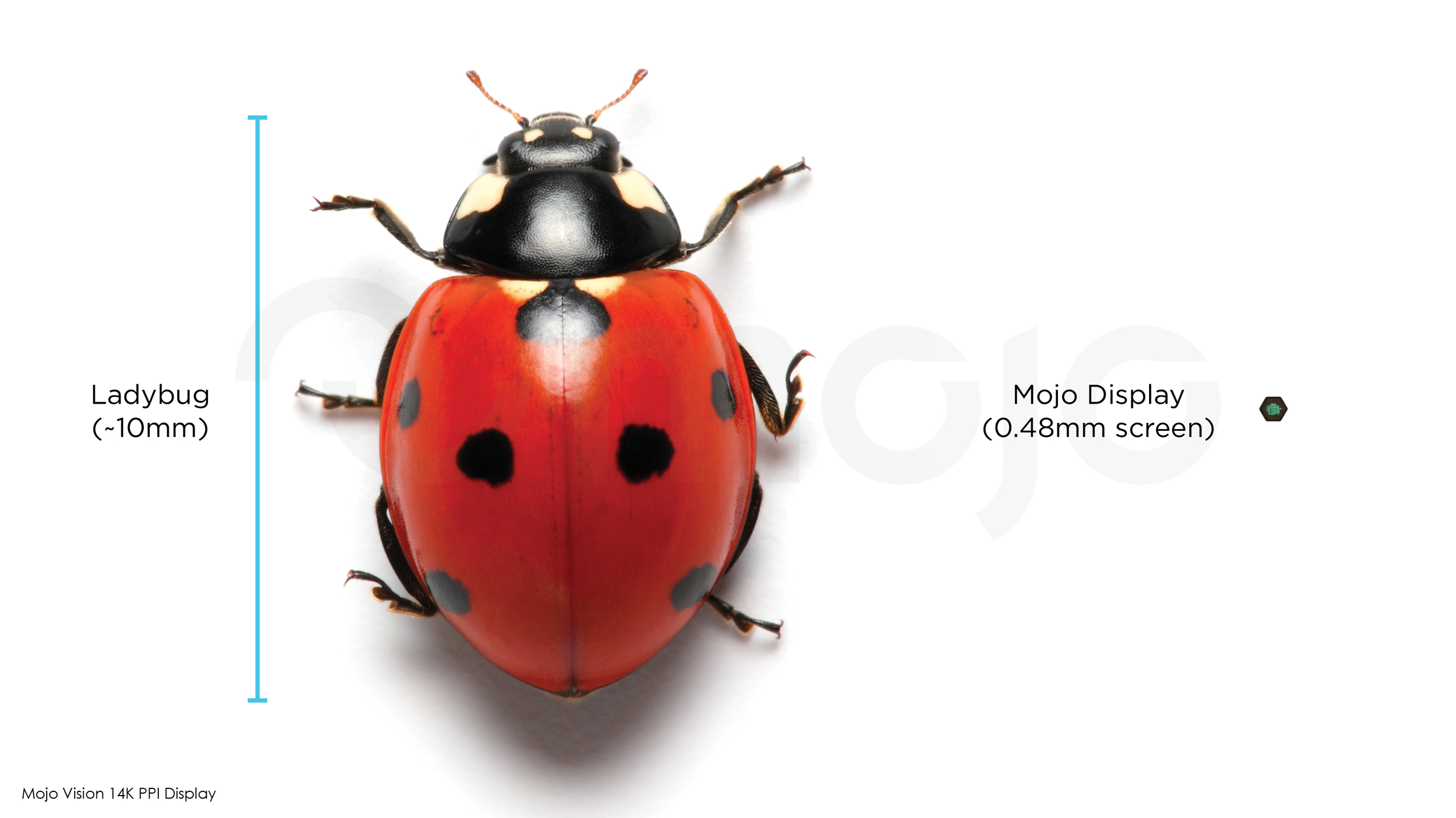 The Mojo Blog | Microscopic Innovation